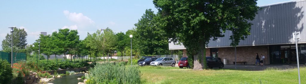 L'IUT - IUT de Colmar