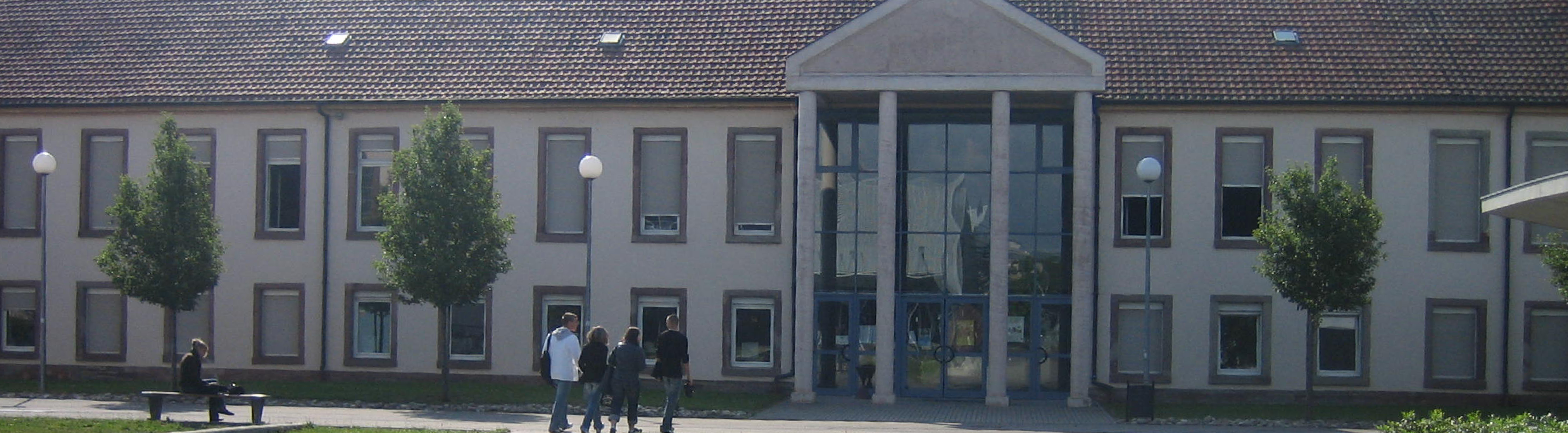 Organisation - IUT de Colmar